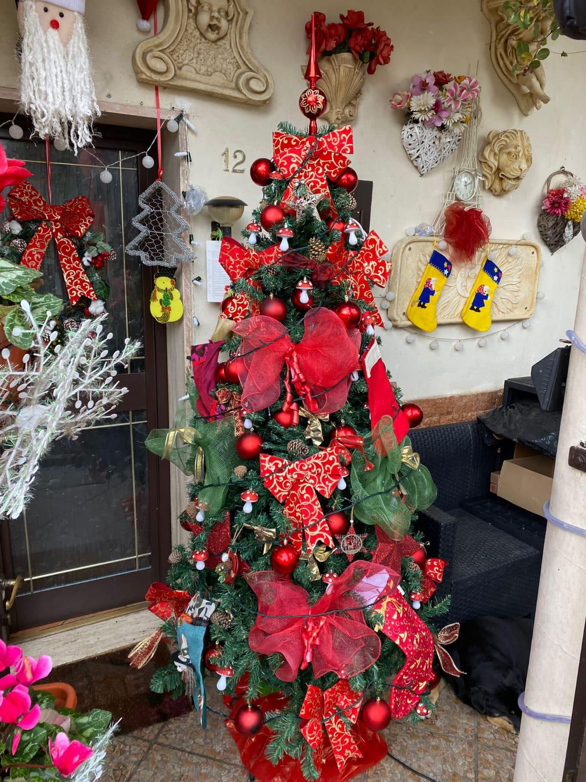 Torna a Cassino la Casa del Natale dei Pallucci – Notizie dall'Italia