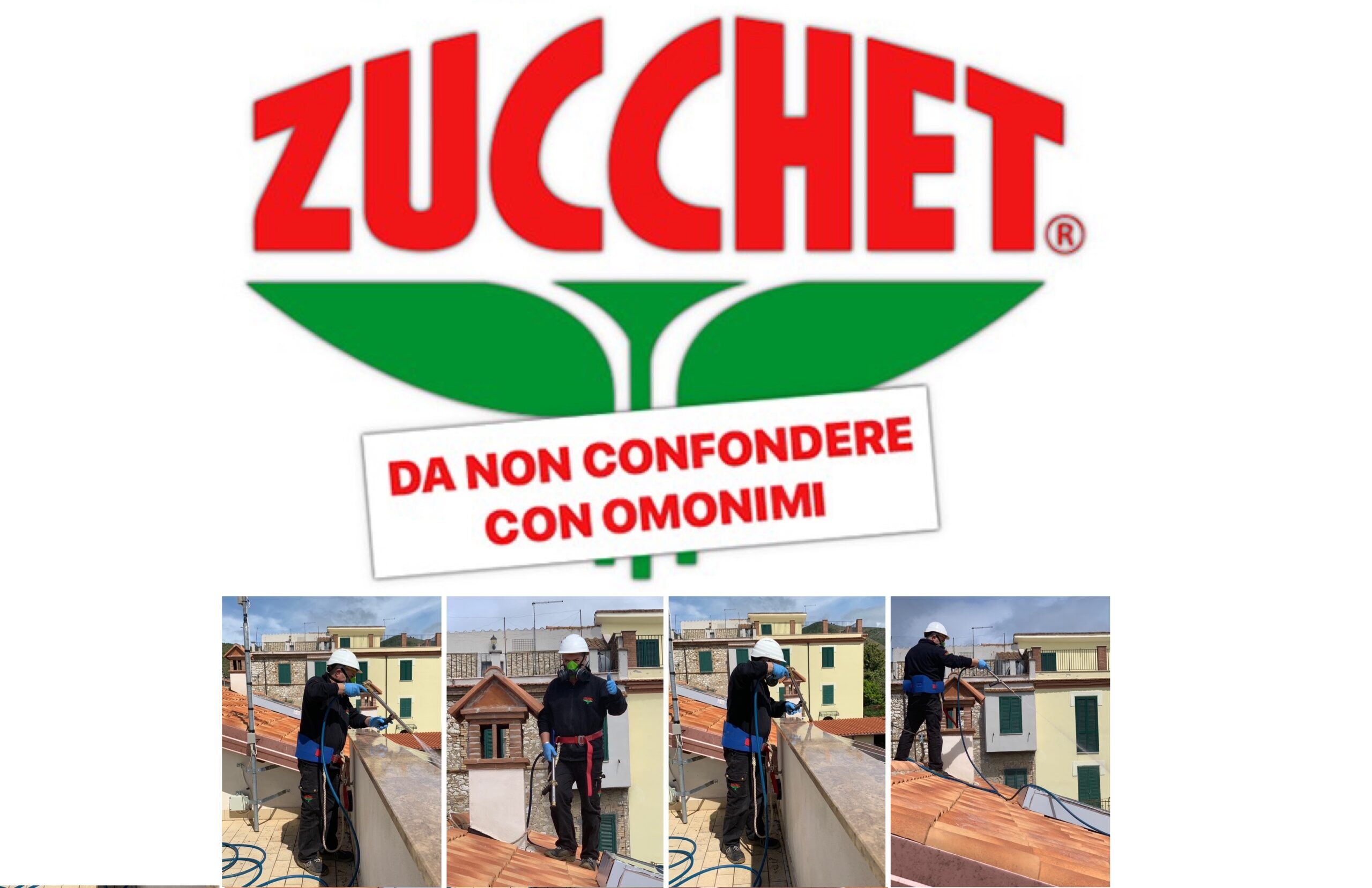 Topi a Roma, come disinfestare – Notizie dall'Italia