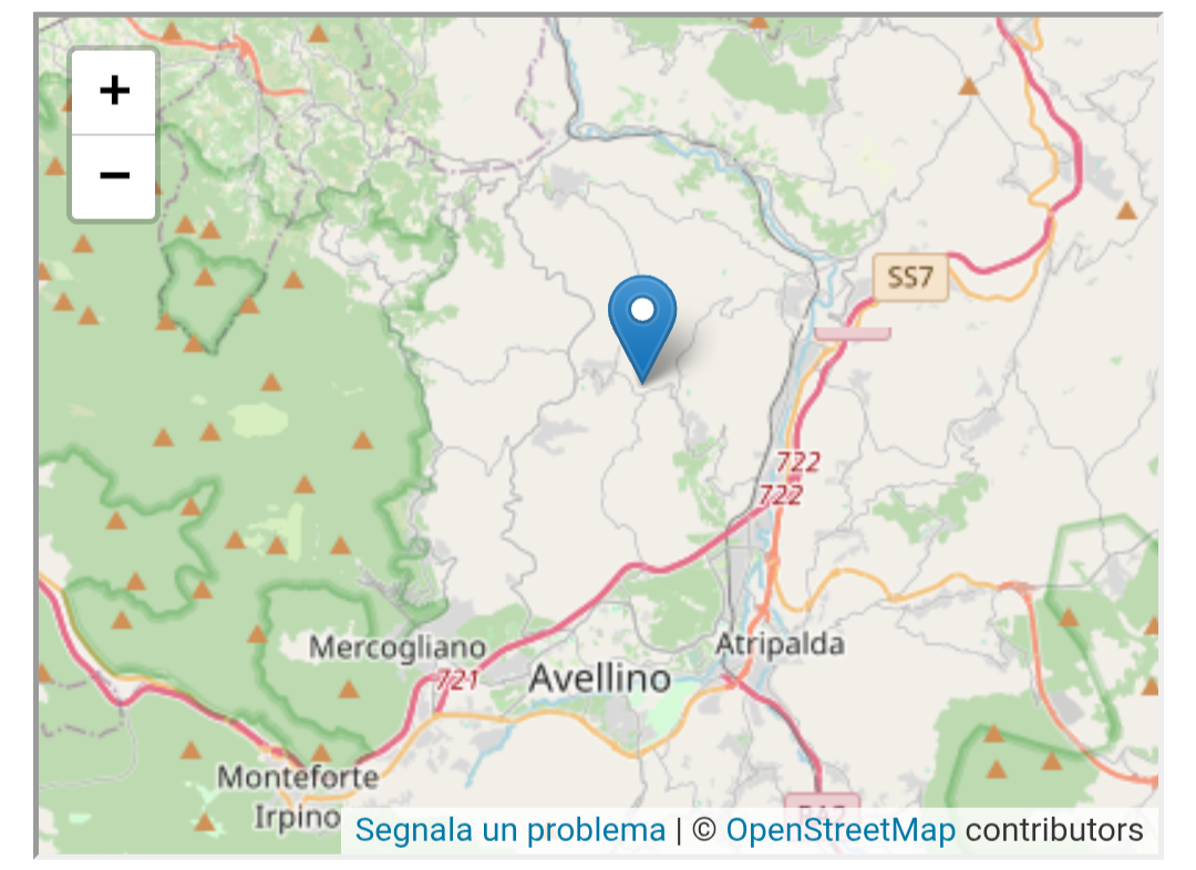 Scossa di terremoto di magnitudo 3.6 avvertita in provincia di Avellino ...